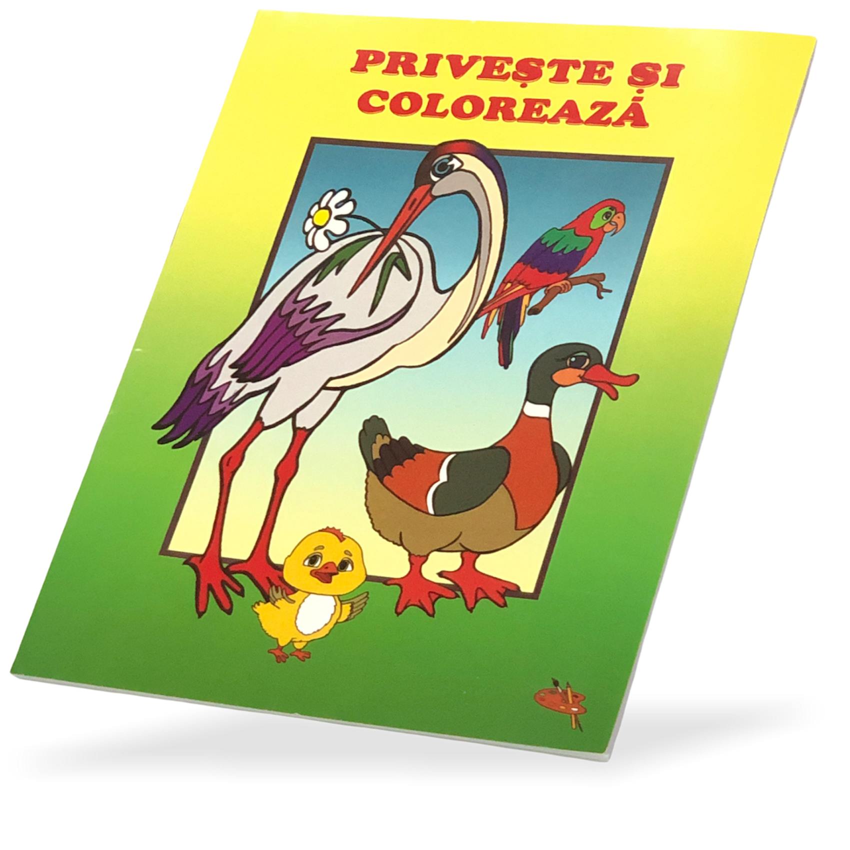 Carte de colorat Priveste si coloreaza Pasari - Birovits.md